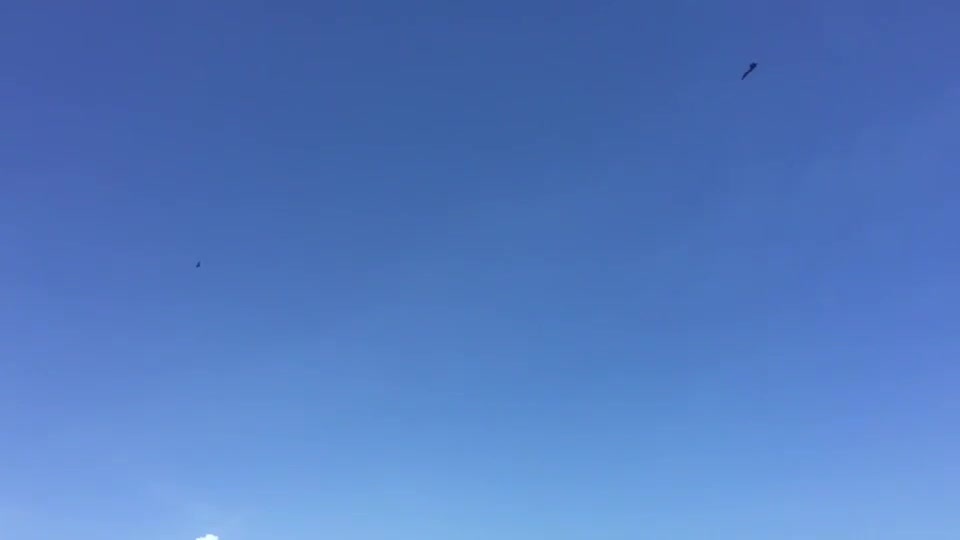 Blue Angels Flyby Sends Beachside Tents Flying | Jukin Licensing