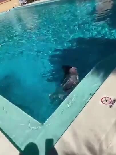 Girl Slips and Falls Into Pool While Attempting to Slide in Water ...