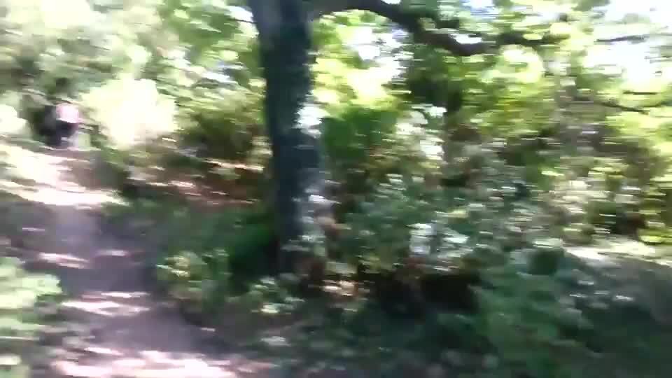 Forest Mountain Bike Dirt Ramp Jump Faceplant | Jukin Licensing