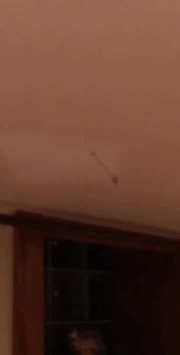 Guy Snipes Fly on the Ceiling With Blowgun Dart | Jukin Licensing
