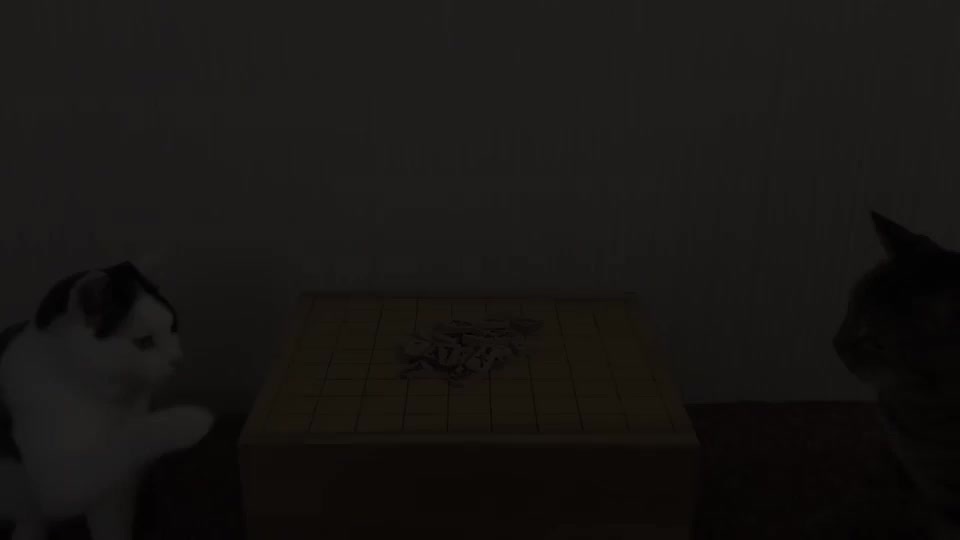 Cats Make Mess With Japanese Board Game Pieces | Jukin Licensing