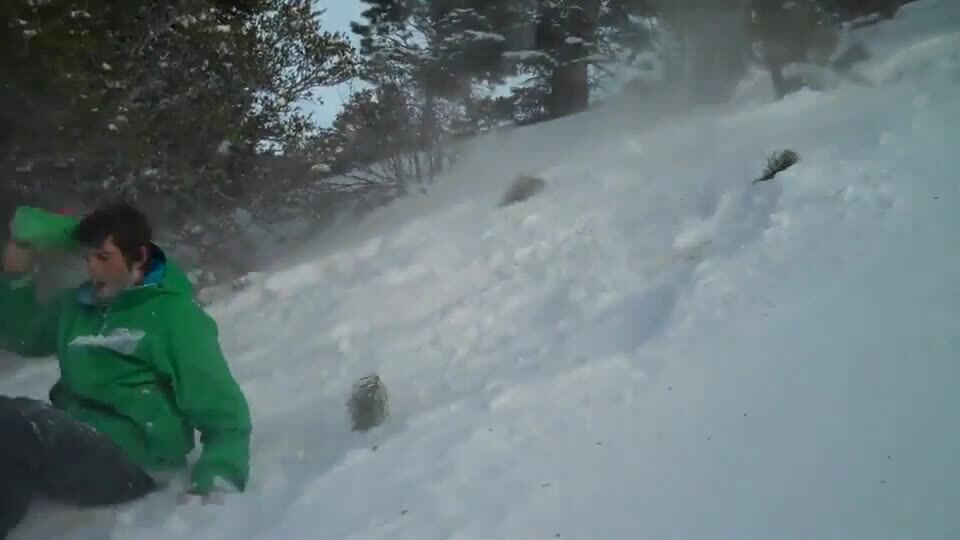 Snowboarder Smashes into Tree | Jukin Licensing