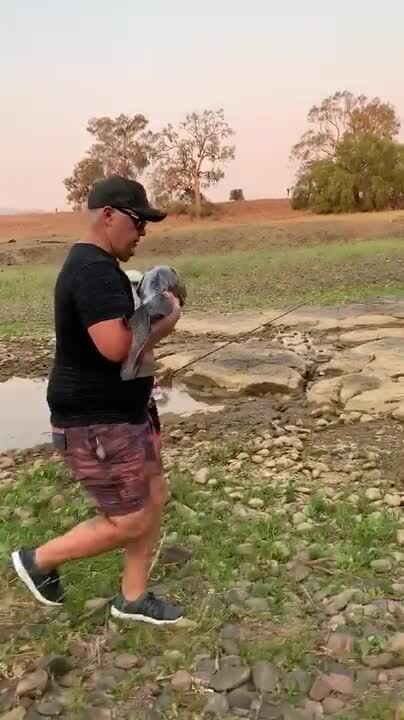 Saving Massive Murray Cod | Jukin Licensing