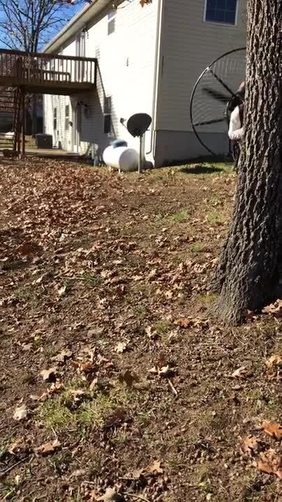 One Way to Rake Leaves | Jukin Licensing