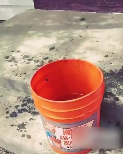 Guy Performs Tight Trickshot by Putting Rugby Ball Into Small Bucket ...