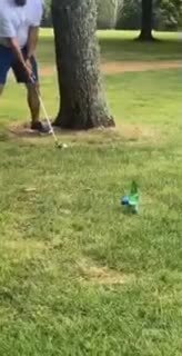 Guy Accidentally Smashes Golf Club on Tree While Taking Shot | Jukin ...
