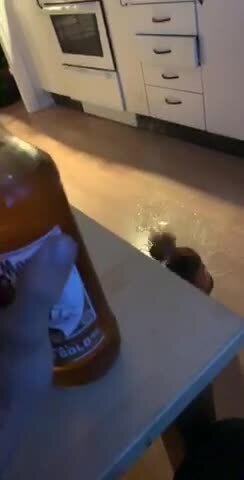 Guy Manages to Catch Bottle of Rum But Spills Soda All Over | Jukin Licensing