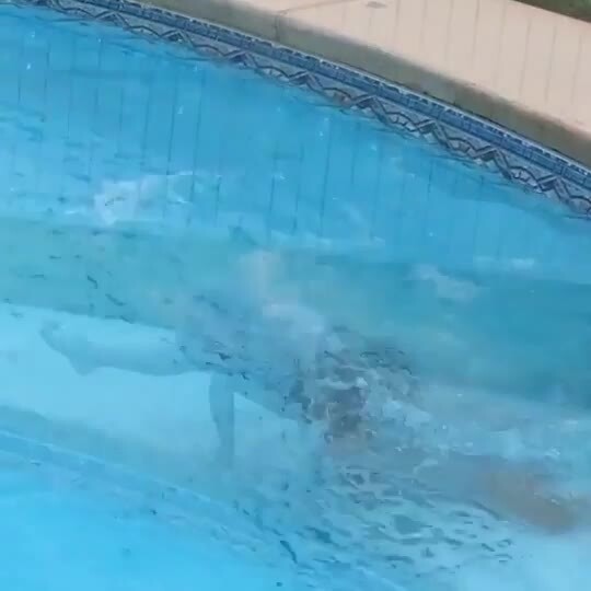 Gymnast Handstand Flips Into Pool | Jukin Licensing