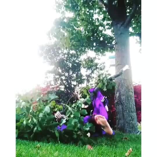 Woman Snaps Tree Branch While Performing Acrobatics | Jukin Licensing