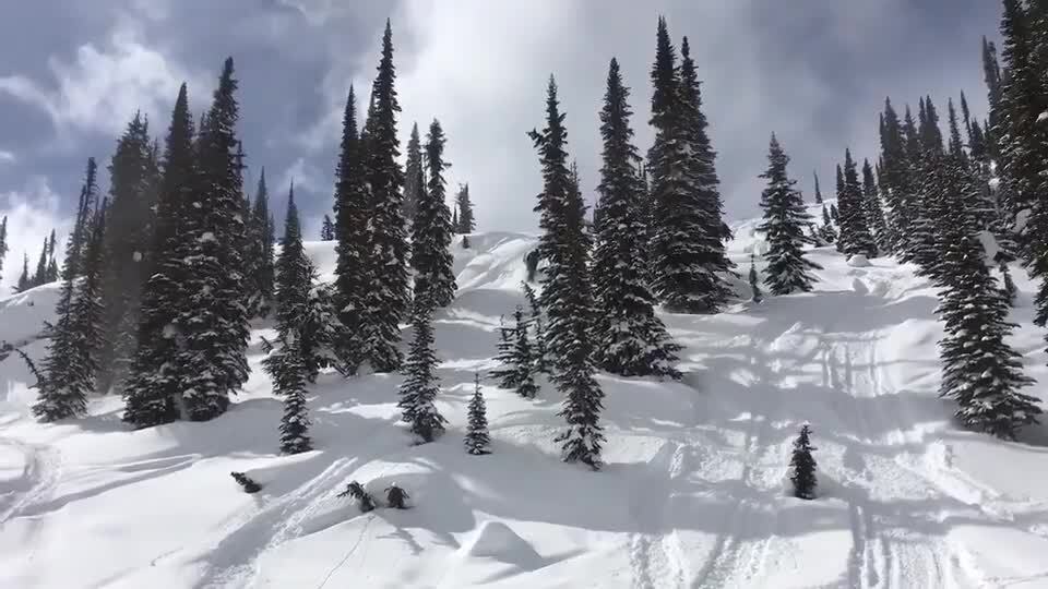 Guy Crashes Snowmobile Into Tree | Jukin Licensing