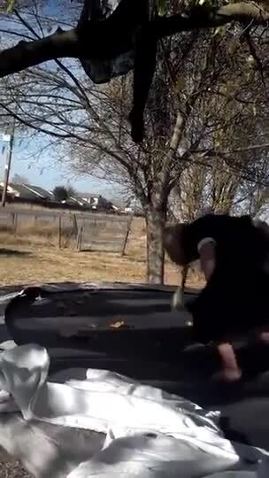 Girl's Dress Gets Stuck to Branch as She Jumps off Tree Onto Trampoline ...