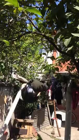 Man Makes Pull-Up Bar Collapse Attempting Trick | Jukin Licensing