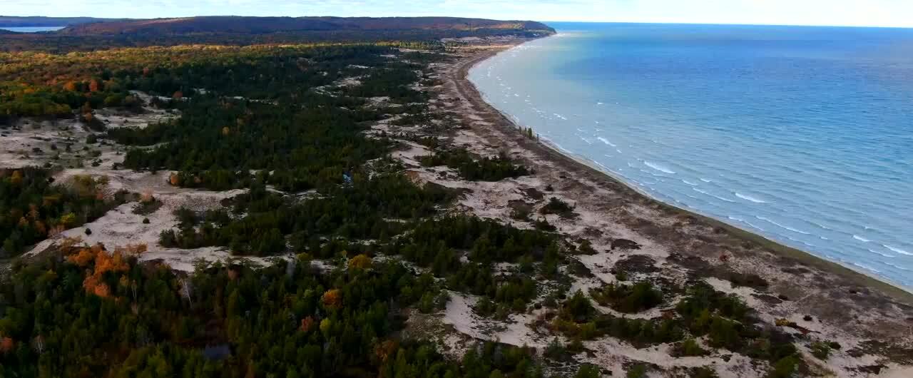 Drone Captures Colorful Autumn While Flying Over Michigan Park And ...