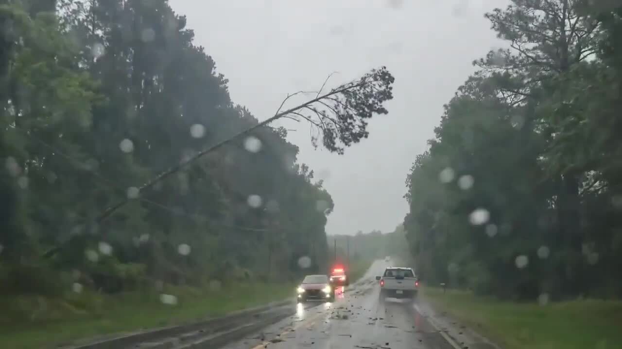 Trees and Power Lines Falls on Road After Storm and Heavy Rain in ...