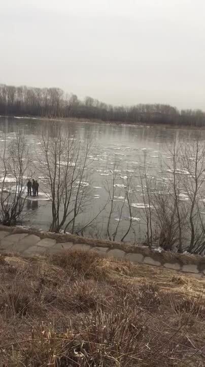 People Floating on Ice in River | Jukin Licensing