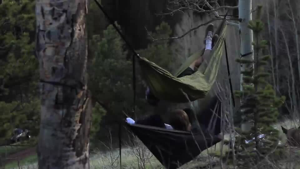 Hammocks Break Tree | Jukin Licensing