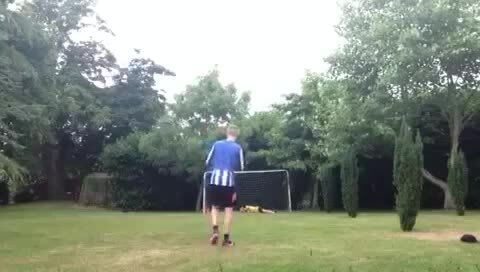 Soccer Ball Ricochet Hits Goalie | Jukin Licensing