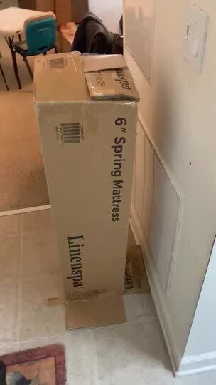 Three Kids Hide in Cardboard Boxes and Fall Down | Jukin Licensing