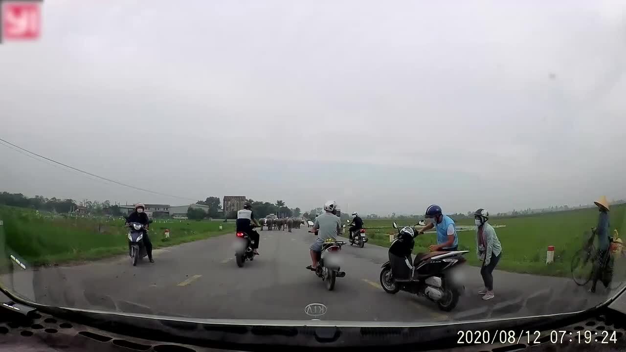 Buffalo Barrels Motorcycle Riders Over | Jukin Licensing