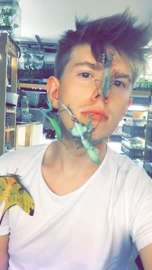 Exotic Bugs Crawl on Guy's Face | Jukin Licensing