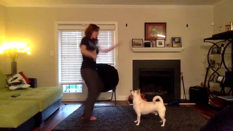 Girl Creates Dance Choreography With Dog | Jukin Licensing