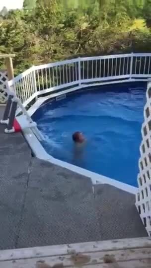 Little Girl Attempts to Front Flip into Pool | Jukin Licensing