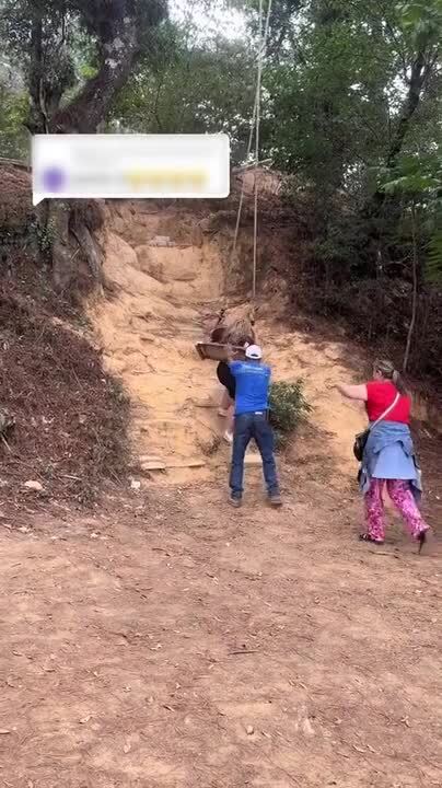 Family Rush to Rescue Woman Stuck on Swing | Jukin Licensing