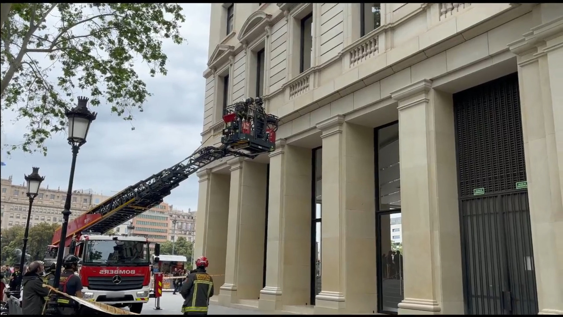 Firefighters Rescue Bird | Jukin Licensing