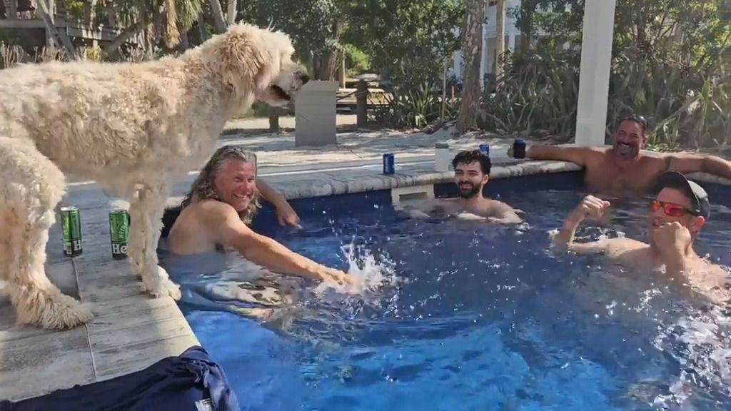 Hesitant Dog Jumps Into Pool When Men Encourages Her | Jukin Licensing