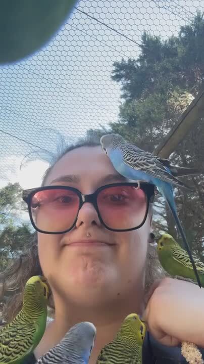 Parakeets Nibble on Woman's Face and Neck | Jukin Licensing