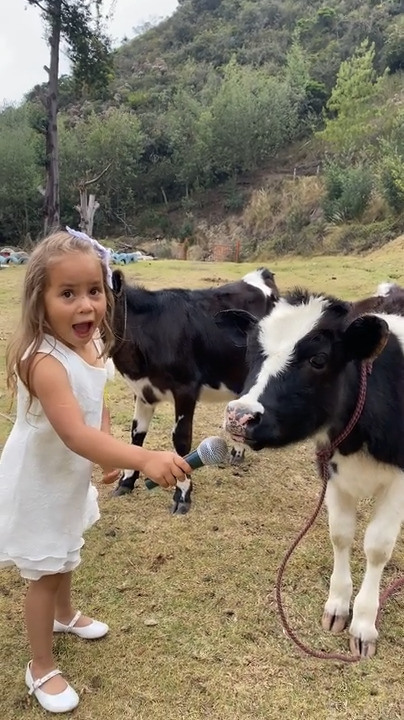 Cow Responds to Little Girl's Question With Loud Moo | Jukin Licensing