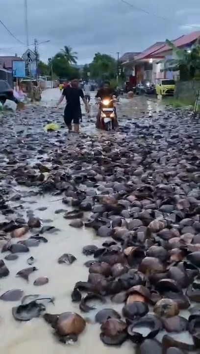 Flood Leaves Road Strewn With Coconut Shells in Gorontalo, Indonesia ...
