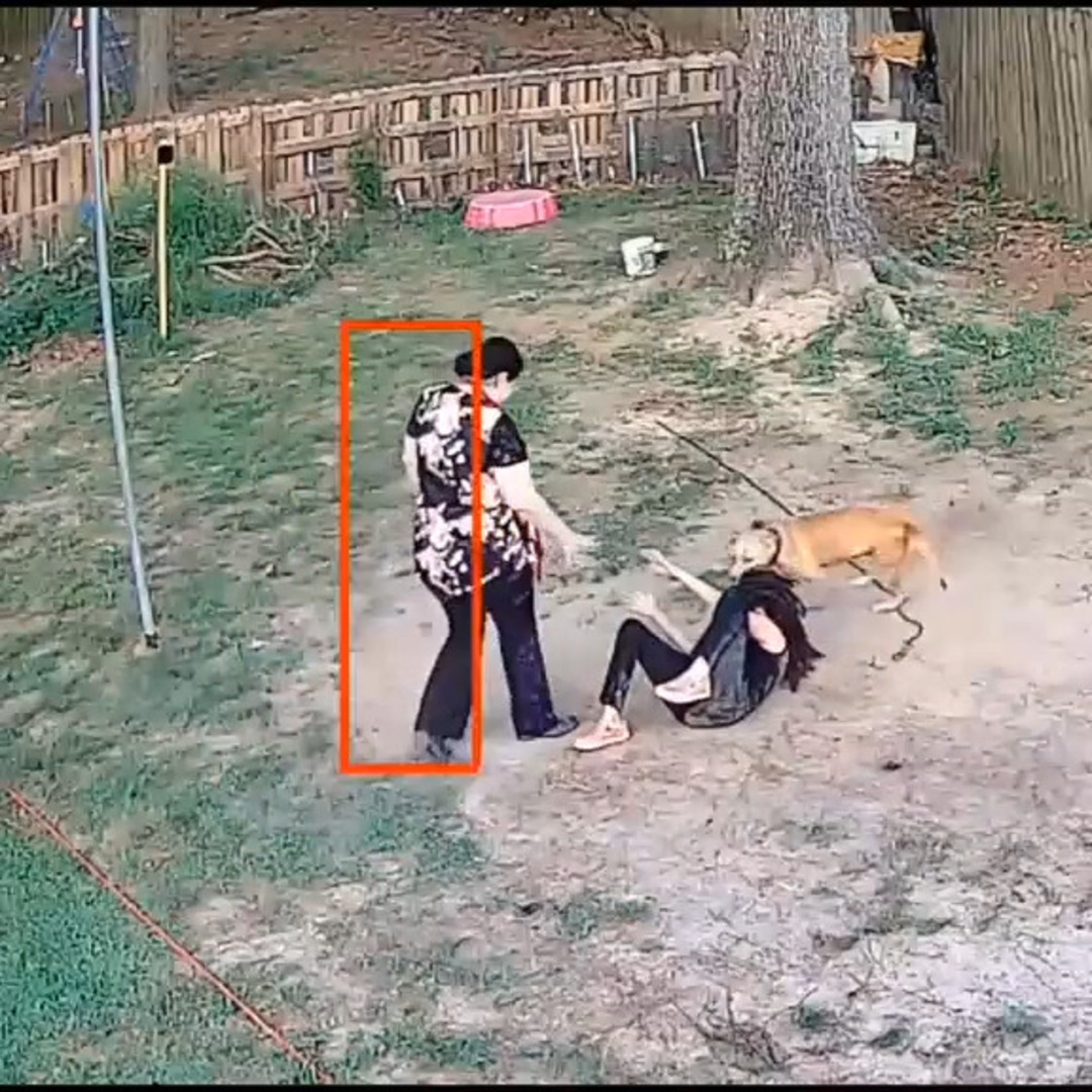 Dog Knocks Down Girl While She Walks With Her Mother | Jukin Licensing