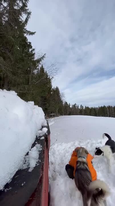 Person Hits Their Head While Attempting Backflip on Snow in Sweden ...