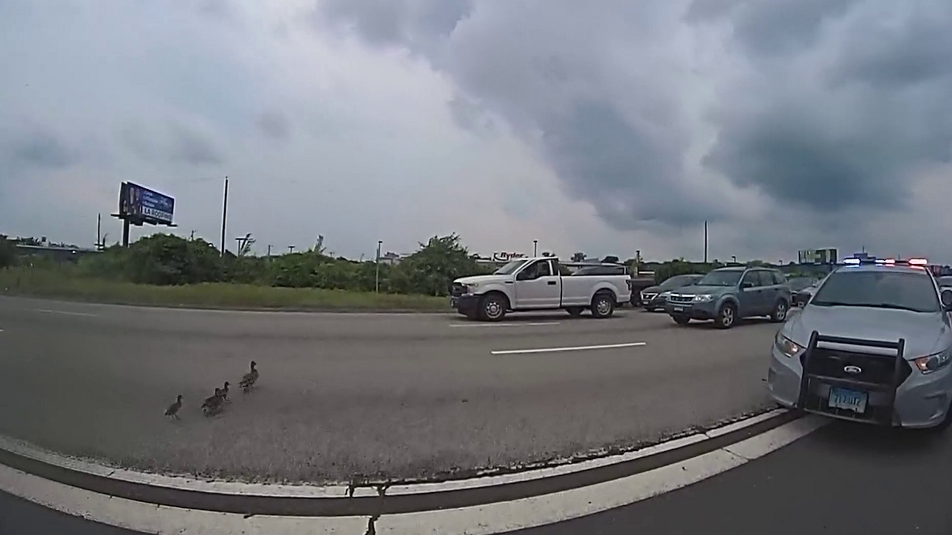 Police Officer Holds Traffic to Help Ducks Cross Road | Jukin Licensing