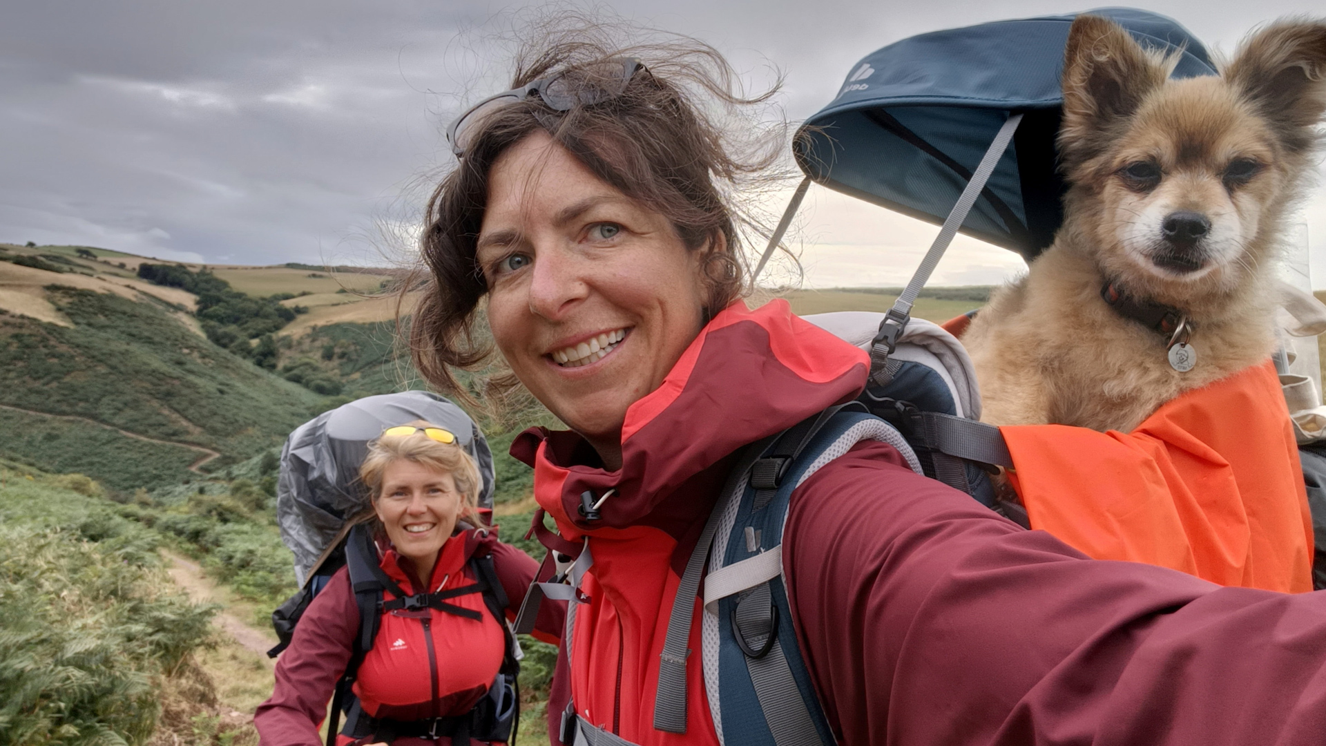 Couple And Their Pooch Enjoy England's Longest Dog Walk | Jukin Licensing