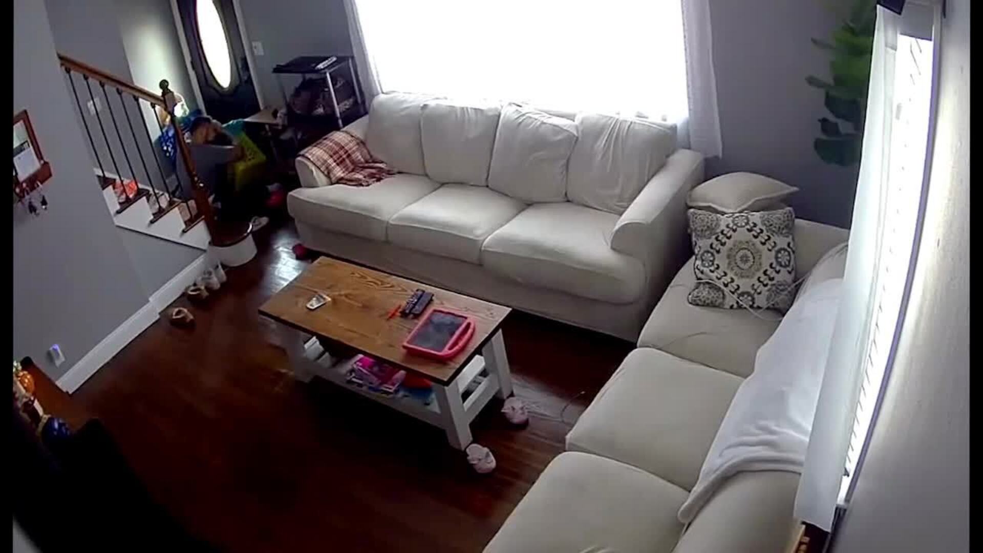 Guy Hits His Head on Ceiling Fan While Dancing | Jukin Licensing