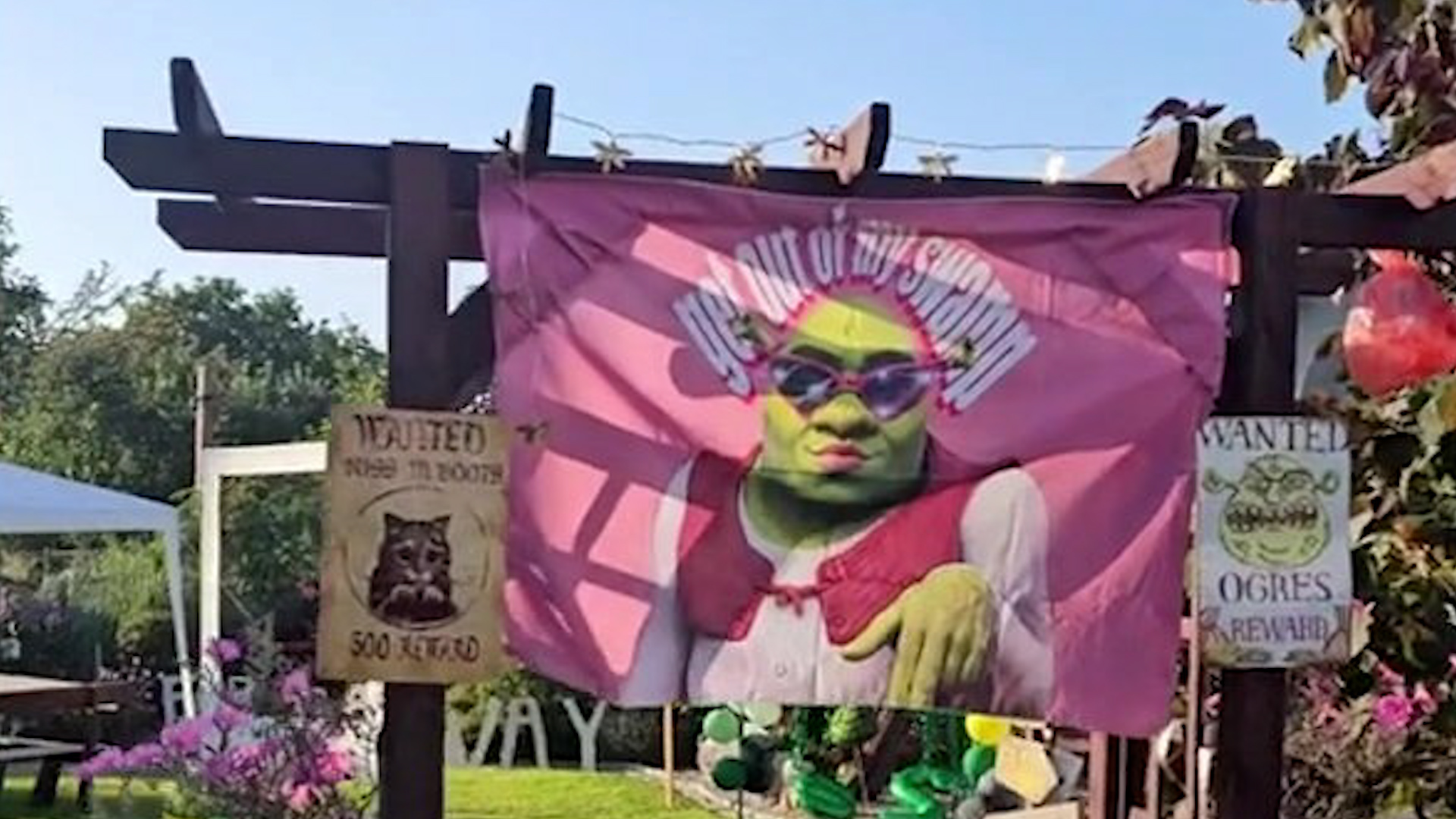Woman Celebrates 25th Birthday With Ogre-Themed Party | Jukin Licensing