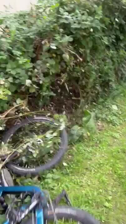 Boy Crashes Mountain Bike Into Hedge After Failed Jump off Ramp | Jukin ...
