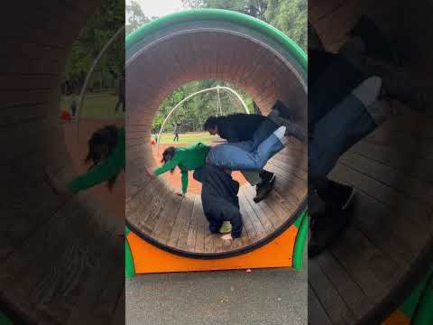 Guy Flips and Falls on His Back While Trying Out Hamster Wheel With ...