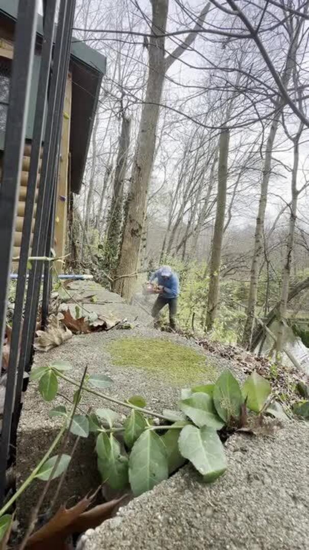 Man Narrowly Escapes as Tree Falls While Cutting | Jukin Licensing