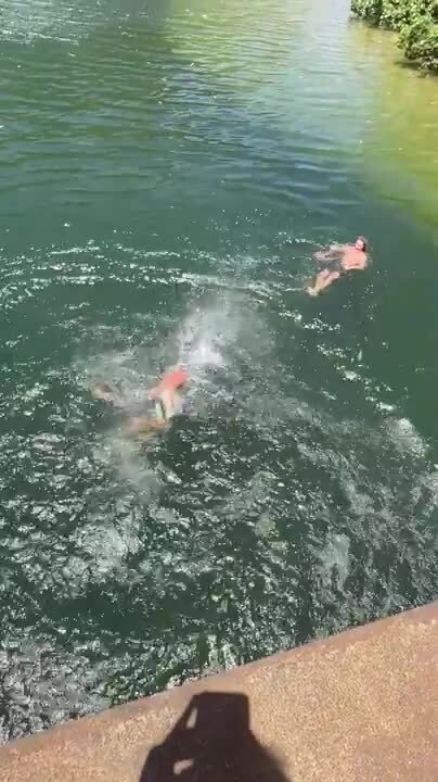 Man Flops Onto His Back in Water After Quadruple Backflip | Jukin Licensing