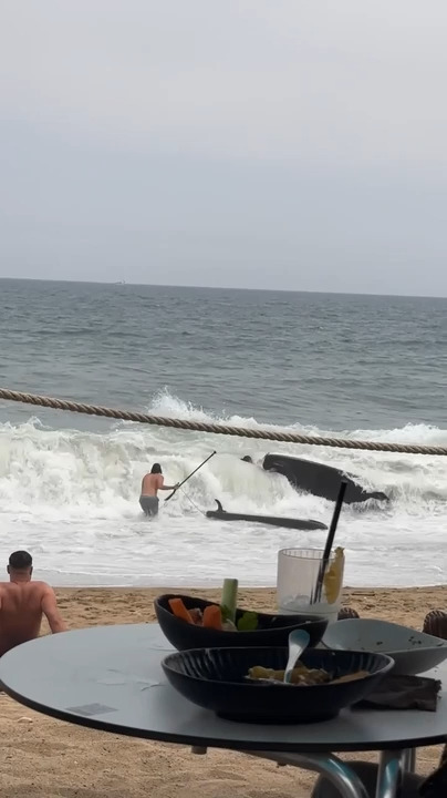 Big Waves Flip Over Paddle Boarders | Jukin Licensing