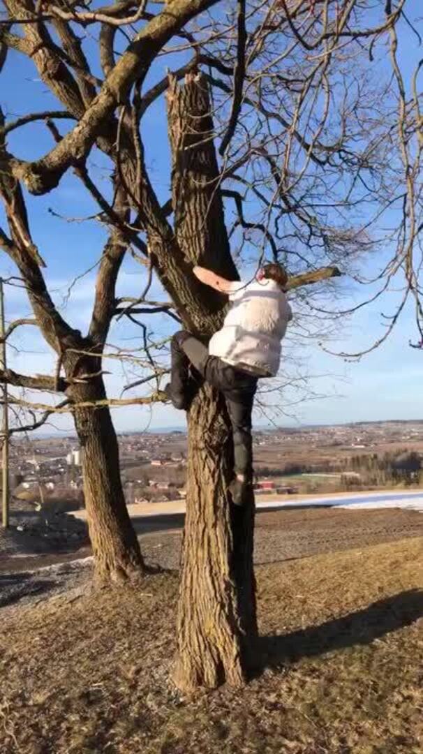 Guy Climbing Tree Grabs Weak Branch and Falls Hard on Ground | Jukin ...