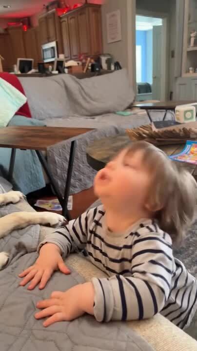 Dog and Little Kid Howl Together, Creating Playful Sound | Jukin Licensing