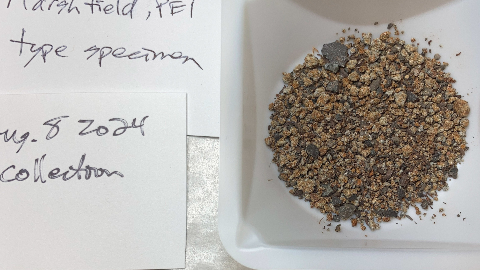 Security Camera Captures Small Meteorite Hitting Ground With Sound ...