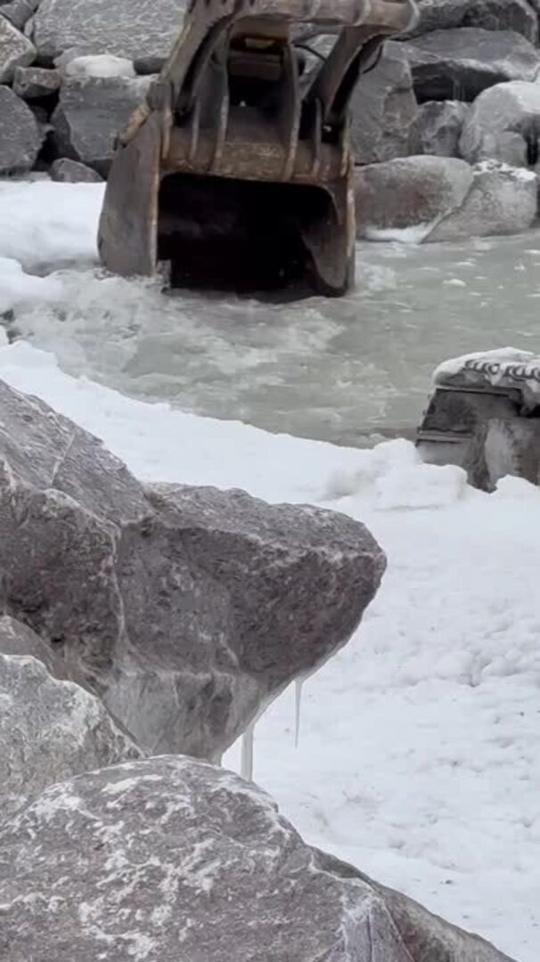 Bird Stuck in Water Is Rescued by Placing It in Excavator's Bucket ...