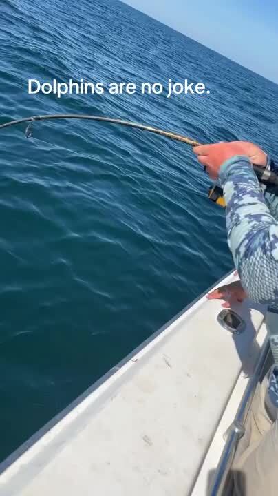 Man's Fishing Rod Snaps After Unexpected Marine Encounter | Jukin Licensing