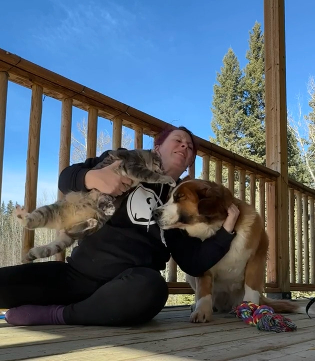 Cat Hits Dog and Runs Away During Family Photo Shoot | Jukin Licensing