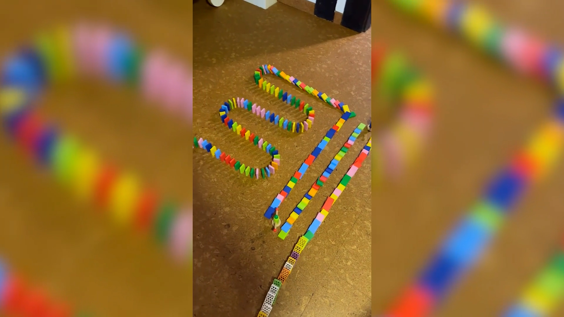 Person Sets up Giant Domino Run That Looks Incredibly Satisfying ...